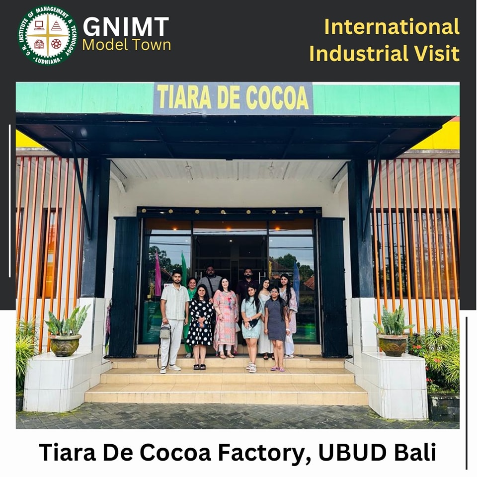 International Industrial Visits